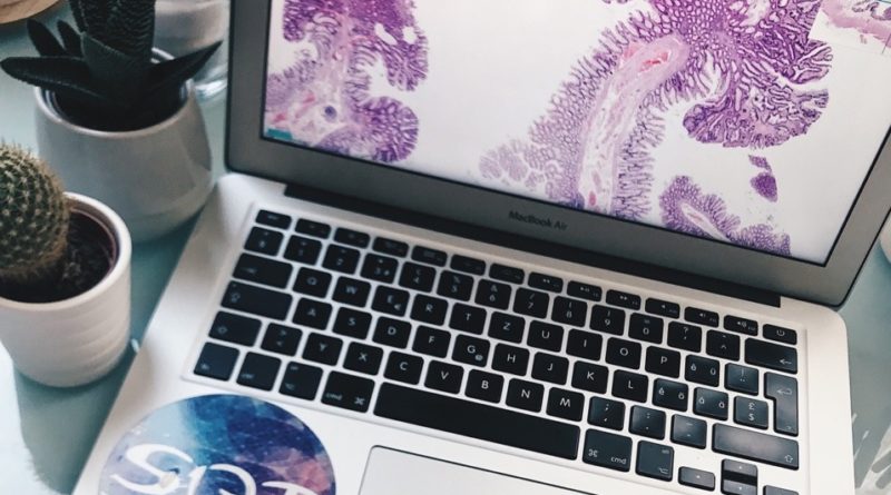 5 Best Laptops For Medical Students 2023 Curriculum Update Laptop Study